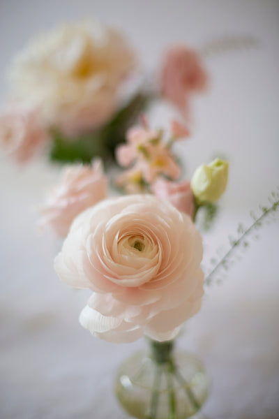 SOLIFLORE - BLUSH – prunelesfleurs